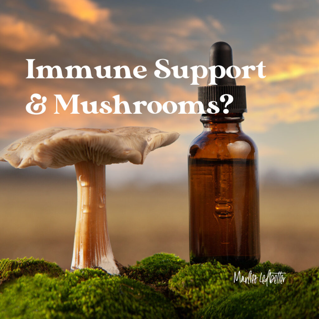 Boosting your immune system with Mushooms - Marlies Ledbetter - Feel ...